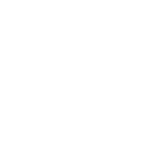 Who We Are - New Commonwealth Fund